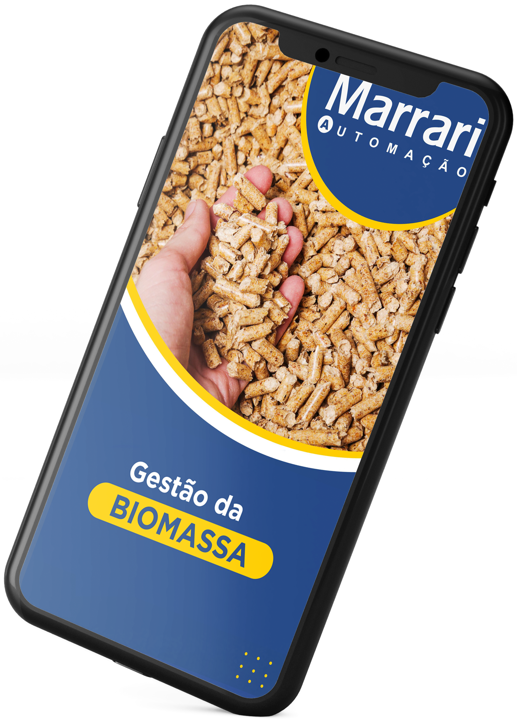 E-Book Gestão da Biomassa - Marrari